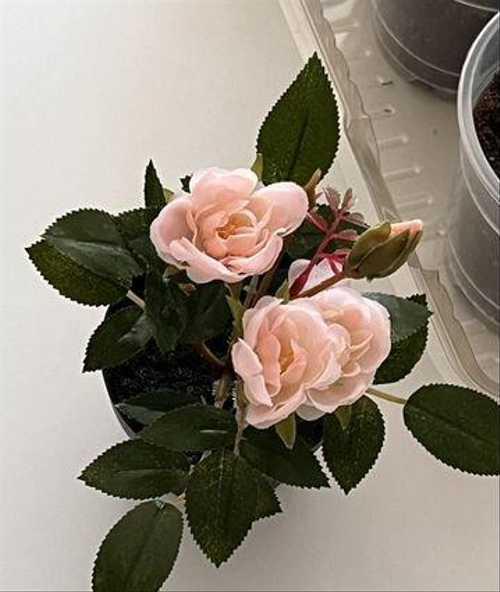 Роза Искусственные растения IKEA