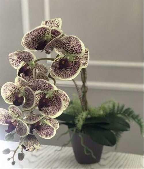 Орхидея фаленопсис искусственная композиция