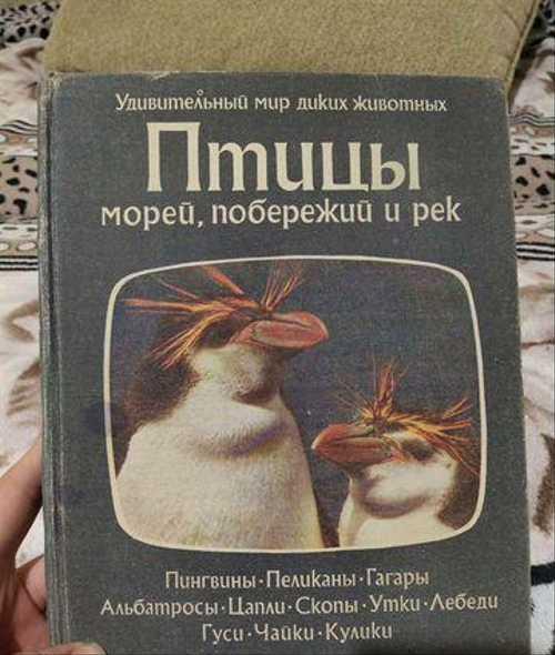 Энциклопедия Удивительны мир диких животных