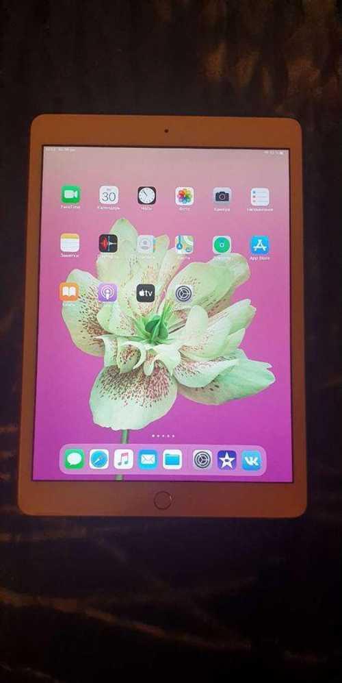 iPad