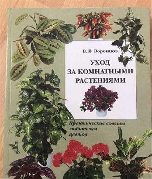 Комнатные растения