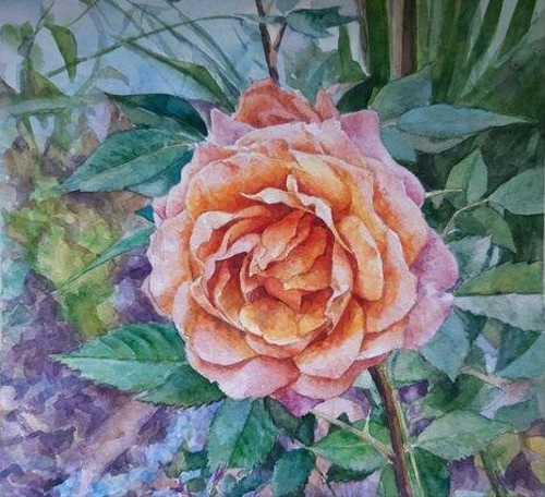 Картина "Роза", Акварель, живопись, цветы