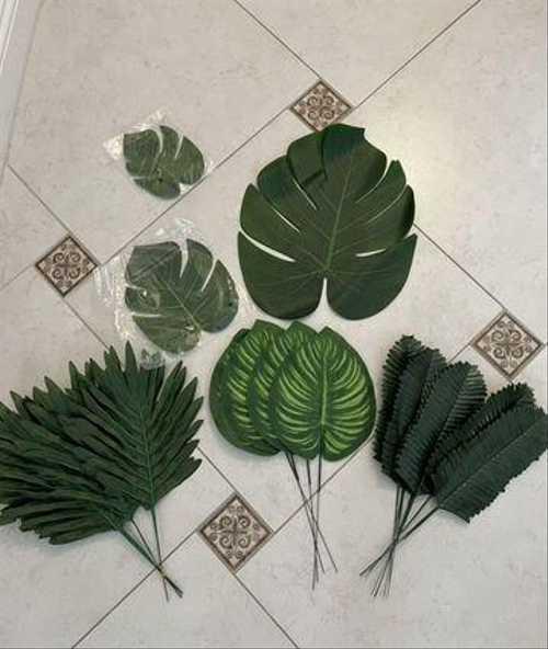 Декоративные тропические пальмовые листья
