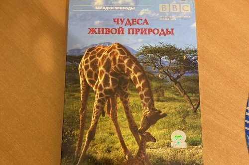 Dvd диск BBC чудеса живой природы