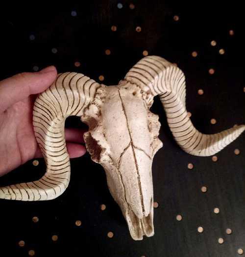 Декоративный череп козла