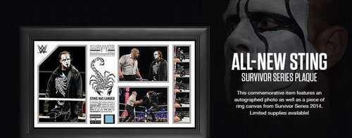Автограф рестлера Стинга на мемориальной доске WWE