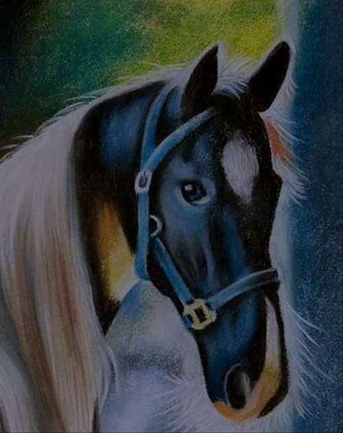 Картина сухой пастелью "Лошадь"