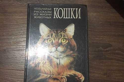 Необычайные расскпзы из жизни животных. Львы/кошки