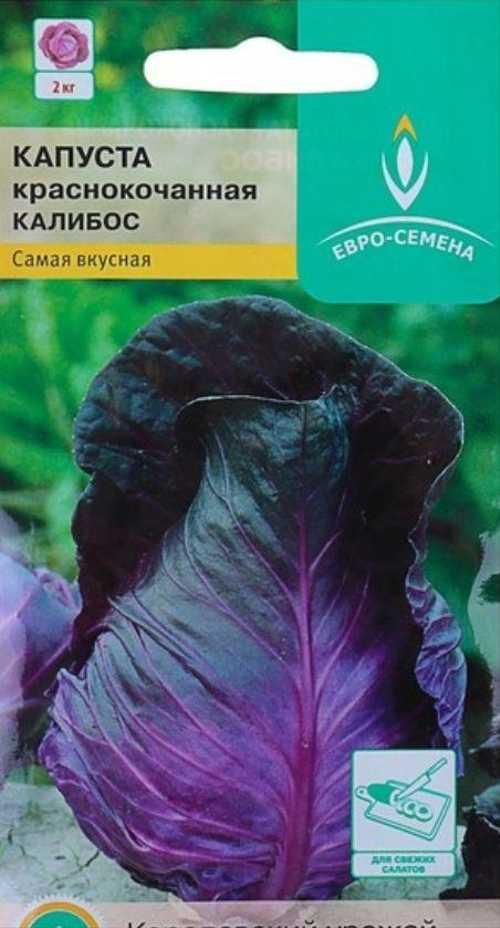 Семена капусты краснокочанной