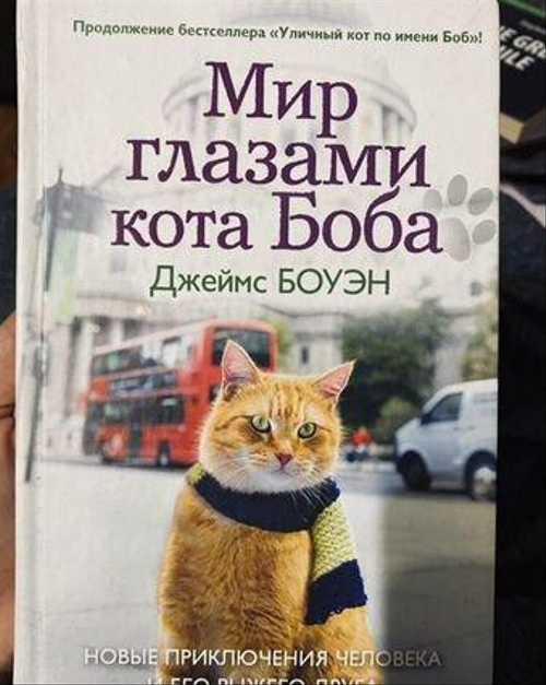 Книга глазами кота