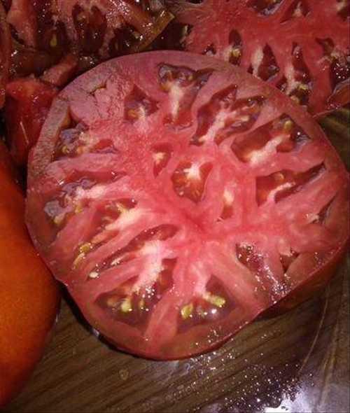 Семена коллекционных томатов помидоров