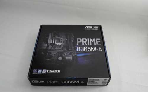 Asus prime B365M-A