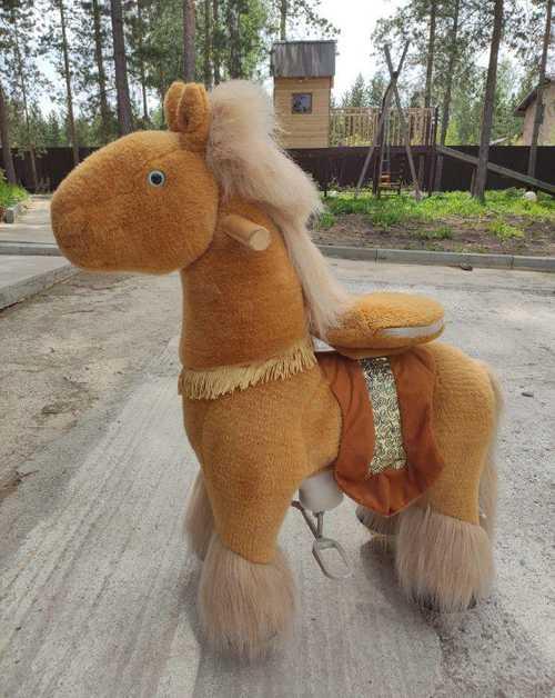 Поницикл