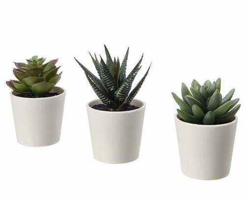 Растение Фейка набор 3 шт икеа IKEA