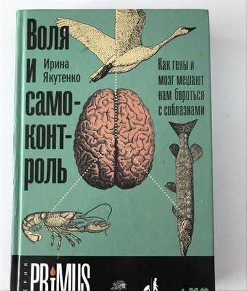 Воля и самоконтроль (что мешает бороться с соблазн