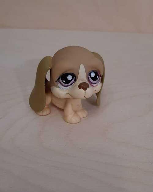 Игрушка littlest pet shop оригинал