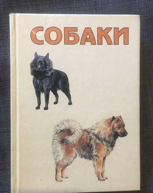 Справочник по породам собак. Собаки, Патаи и Синак