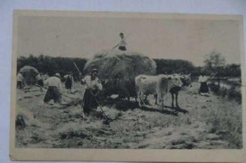 Открытка 1907 г Пимоненко Уборка сена в Малороссии