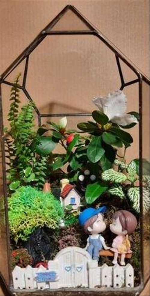 Флорариум с комнатными растениями