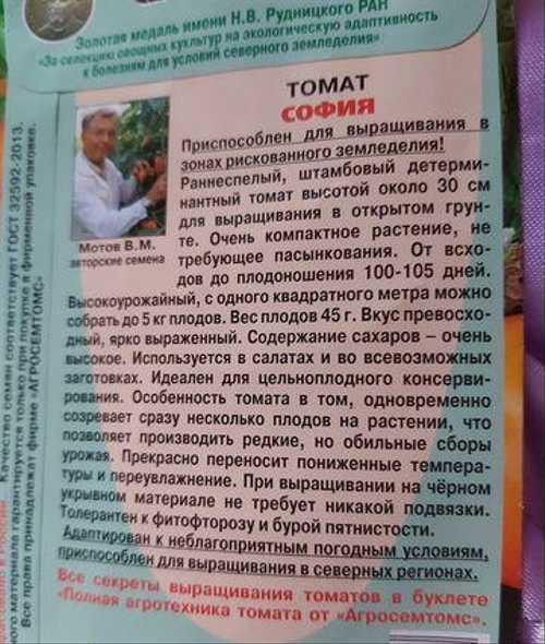 Рассада помидор