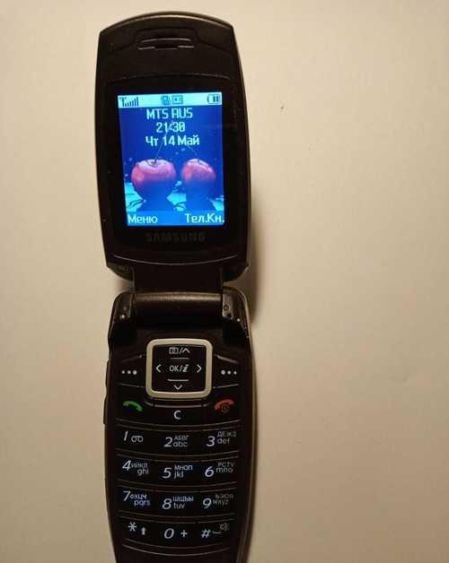 Мобильный телефон SAMSUNG sgh-x510