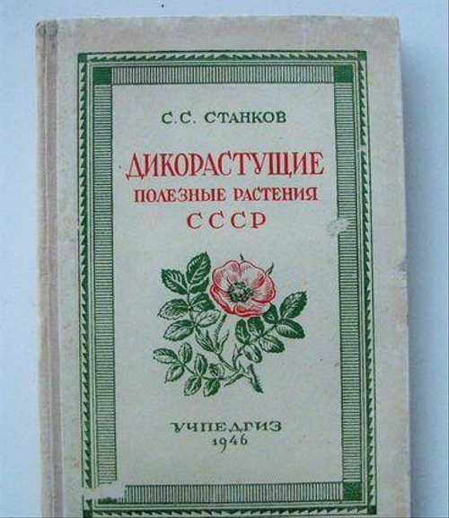 Главный цветок ссср. Дикорастущие лекарственные растения СССР. Полезные растения СССР. Дикорастущие лекарственные растения СССР 1976. Комнатные растения советских времен.