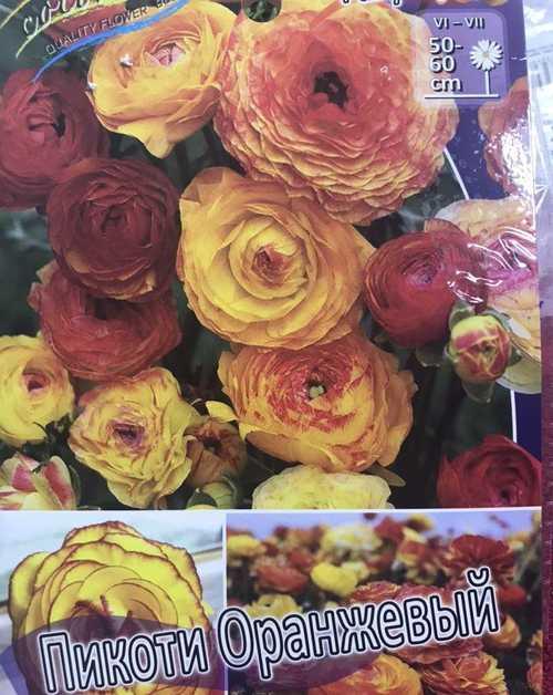 Ранункулюсы
