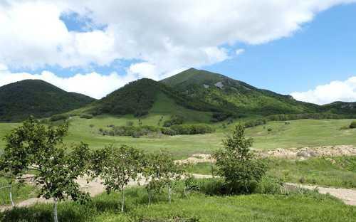 Литература техническая