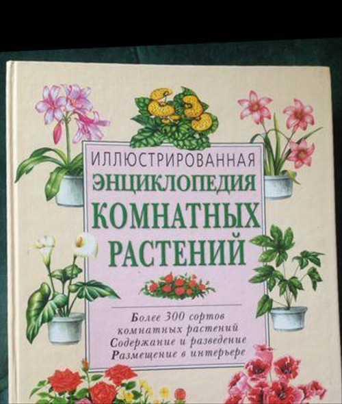 Энциклопедия комнатных растений