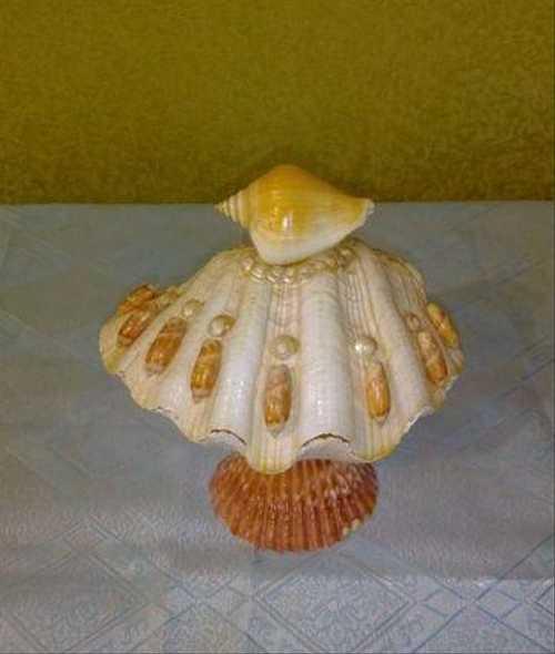 Шкатулка ручной работы из раковины hipopus