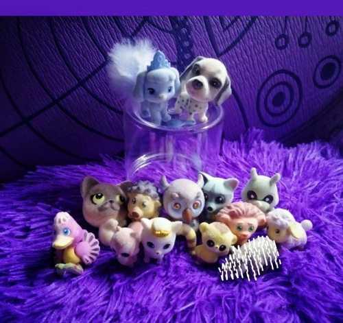 Бархатные Зверюшки. Sweet Box