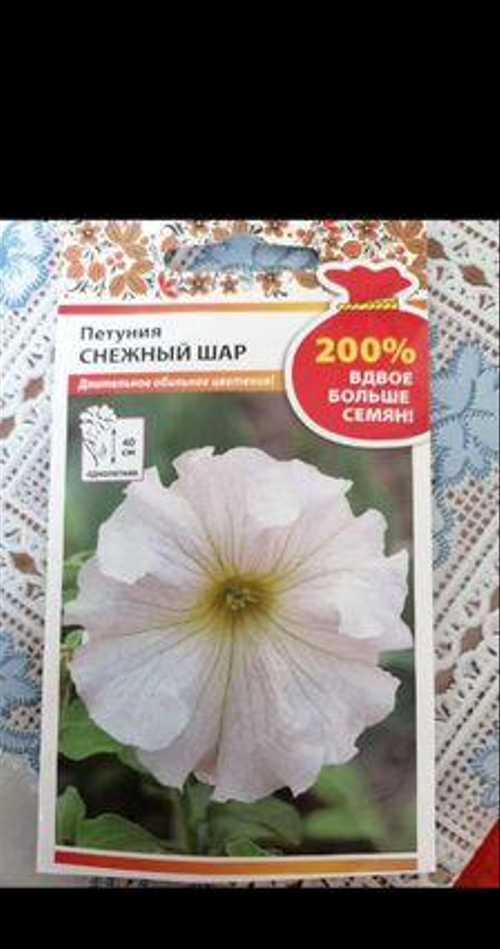 Рассада петунии