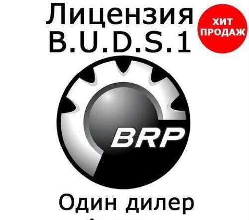 Активация BRP buds 1 "Один дилер" 1 год