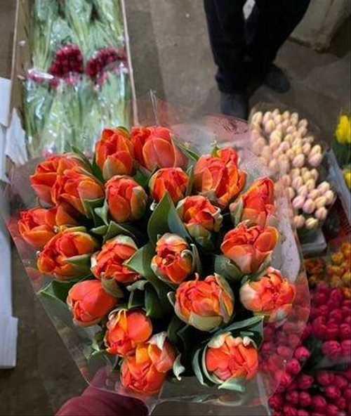 Купить тюльпаны оптом