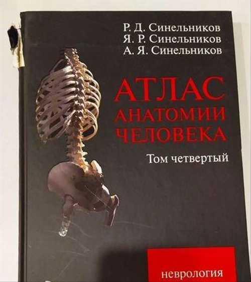 Синельников атлас. Атлас анатомии человека Синельников. Атлас по анатомии Синельников. Атлас анатомии человека 4 Тома.