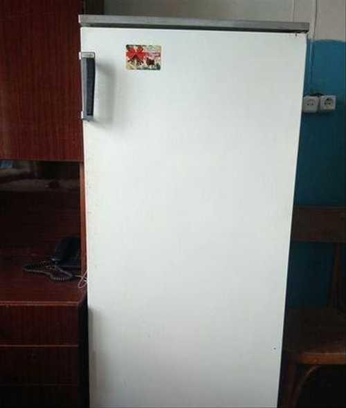 Холодильник Полюс с морозильной камерой
