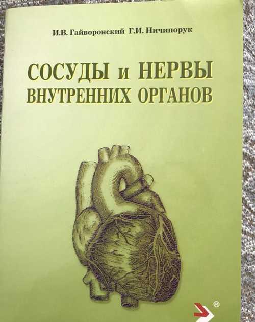 Анатомия Методичка