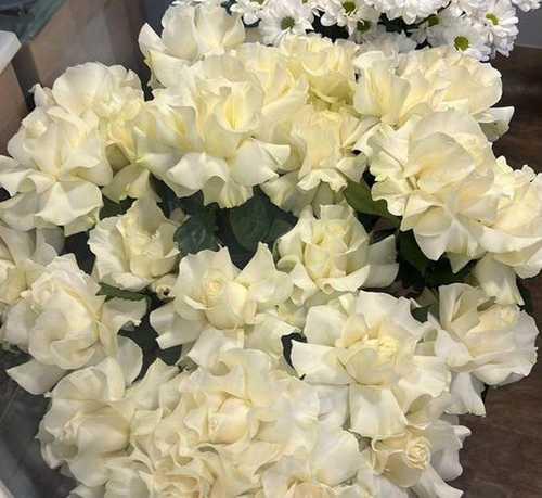 Белые ажурные розы французская роза