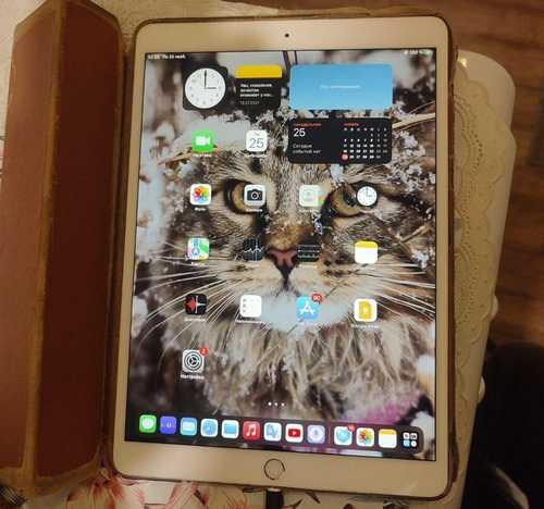 iPad pro 10.5 256gb