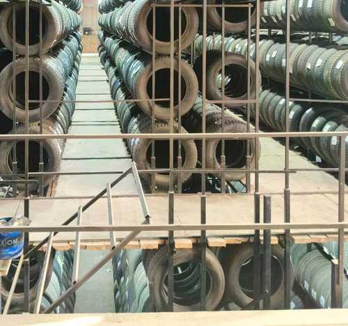 Tigar Ice 195/55 R16 86L
