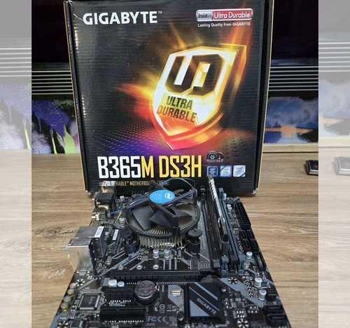 Gigabyte B365M   Intel G4900   DDR4 8Gb