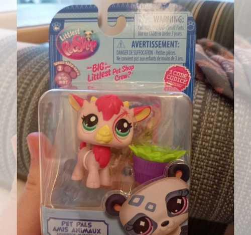 Littlest pet shop