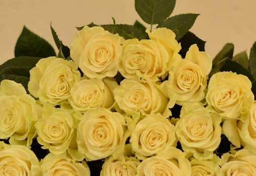 Цветы доставка Розы Колпино