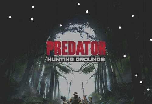 Predator hunting grounds PS4/PS5 навсегда
