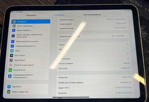 iPad 10.9 2022 256gb lte/4g A2757