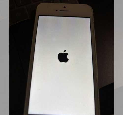 iPhone 5, 16 ГБ