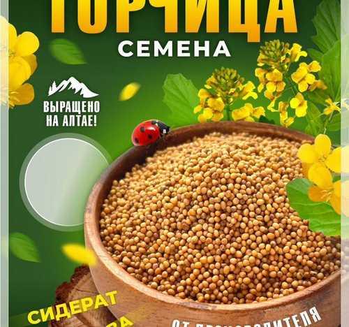 Горчица желтая семена