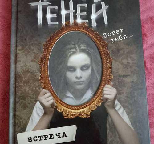 Книга Дом теней встреча