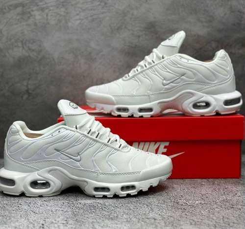 Кроссовки Nike air max tN Plus мужские