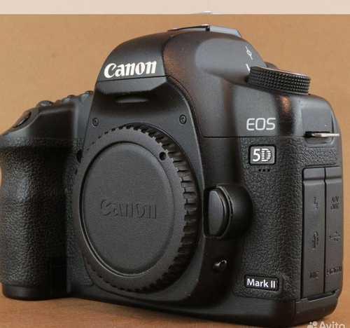 Canon EOS 5D Mark II (id 35316)